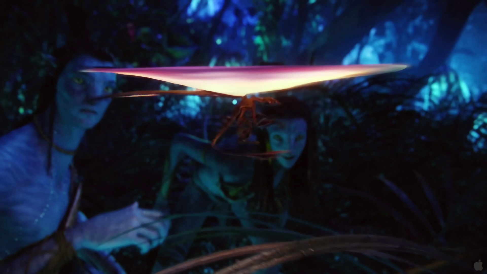 Fan Lizard Alien Species Fandom Powered By Wikia