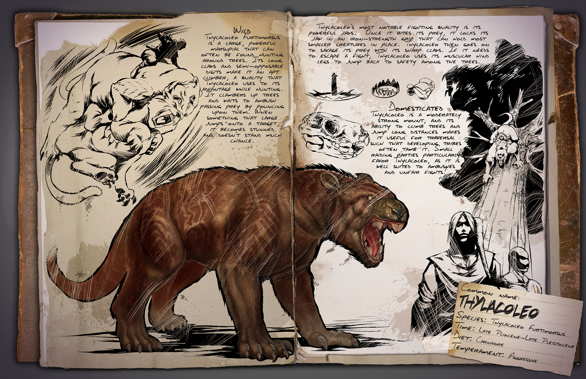 Thylacoleo Ark Survival Evolved Wiki Fandom Powered By Wikia