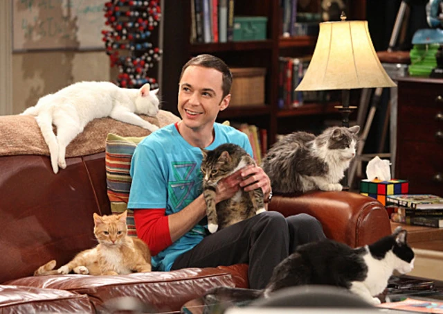 Sheldon Cooper's Cats | The Big Bang Theory Wiki | Fandom powered by Wikia