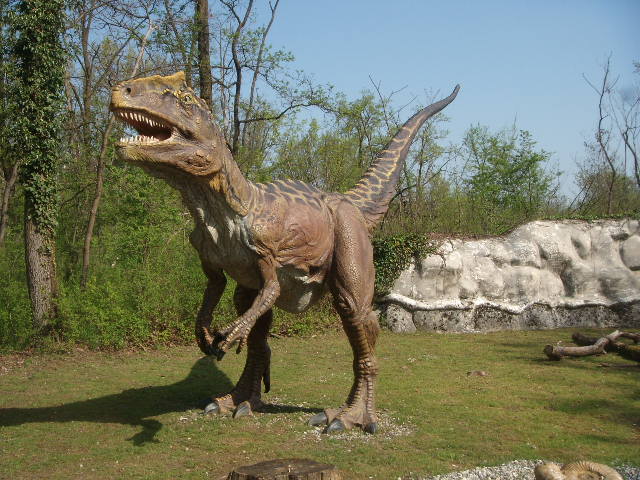 Saltriosaurus Dinopedia Fandom Powered By Wikia