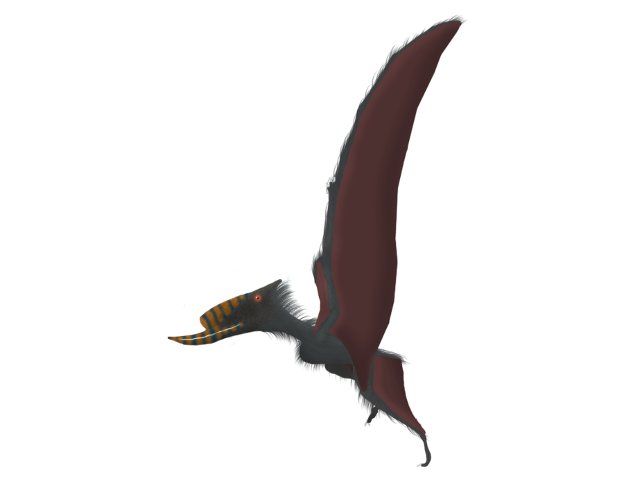 Dsungaripterus Dinopedia Fandom Powered By Wikia