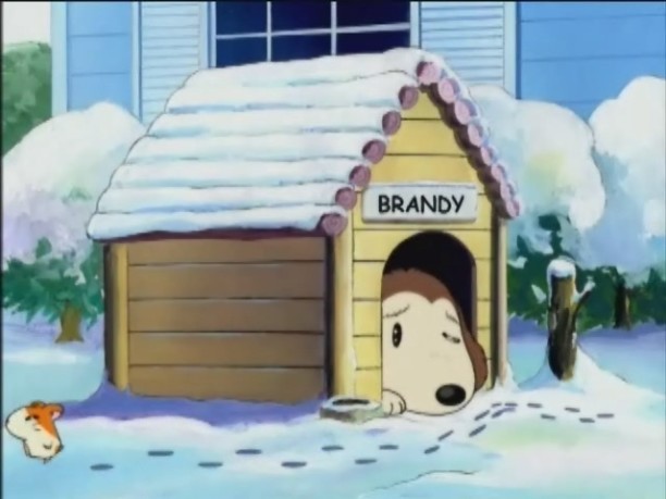 Brandygallery The Hamtaro Wiki Fandom Powered By Wikia