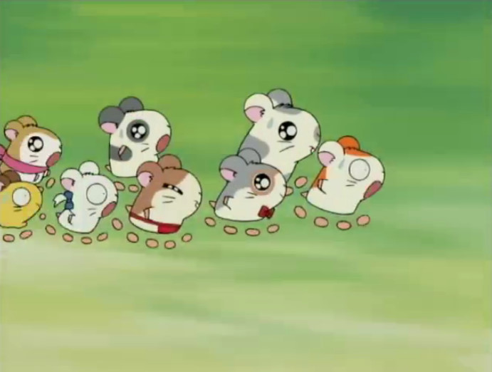 Stan And Sandy Make Upgallery The Hamtaro Wiki Fandom Powered By Wikia