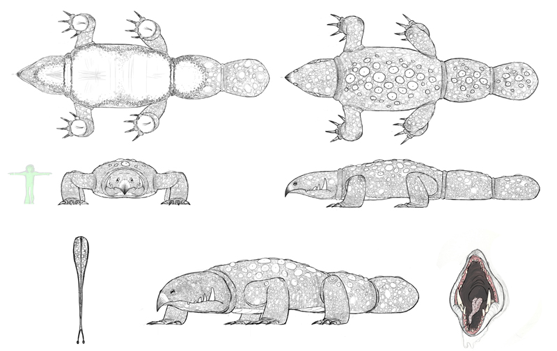 Image - Cavern Crasher 4.png | How to Train Your Dragon Wiki | Fandom ... Image - Cavern Crasher 4.png | How to Train Your Dragon Wiki | Fandom ...