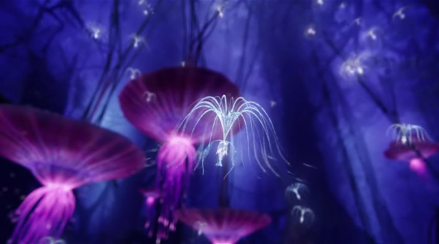 Categoría:Flora | Avatar Wiki | Fandom powered by Wikia Categoría:Flora | Avatar Wiki | Fandom powered by Wikia