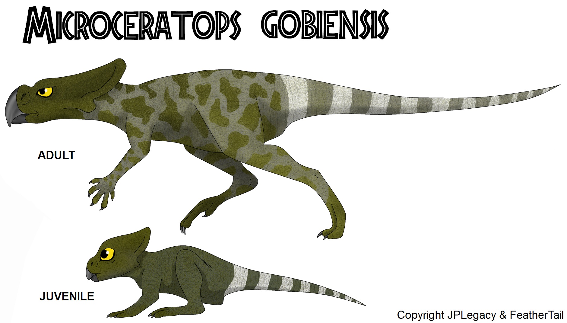 Microceratus gobiensis (Microceratops) | JPL Live the Legend Wiki ...