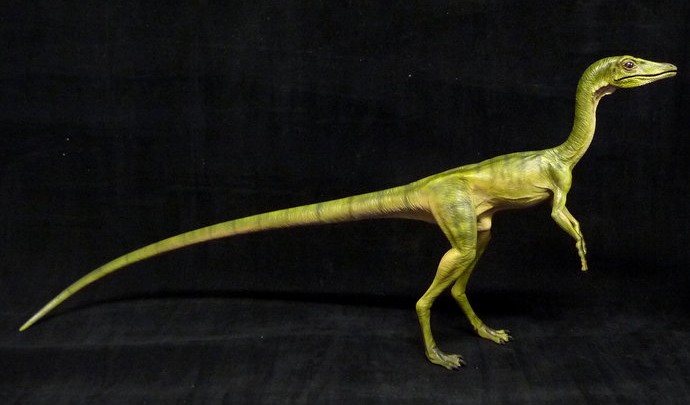 Compsognathus Wiki Jurassic Park Universe Rpg Fandom Powered By Wikia