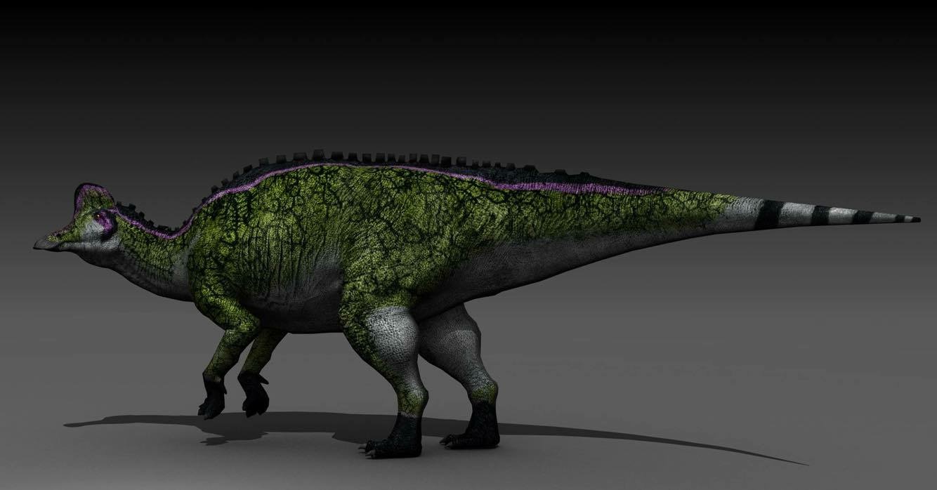 Corythosaurus Mesozoica Game Wikia Fandom Powered By Wikia