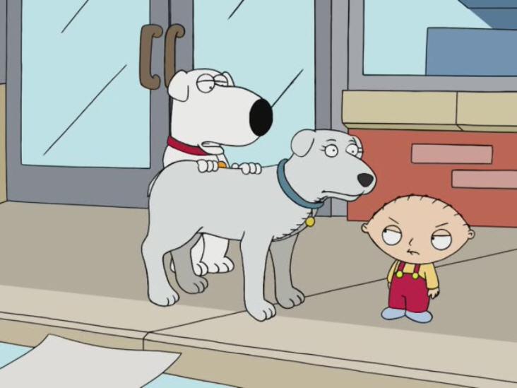 Brian Griffin Padre De Familia Wiki Fandom Powered By Wikia