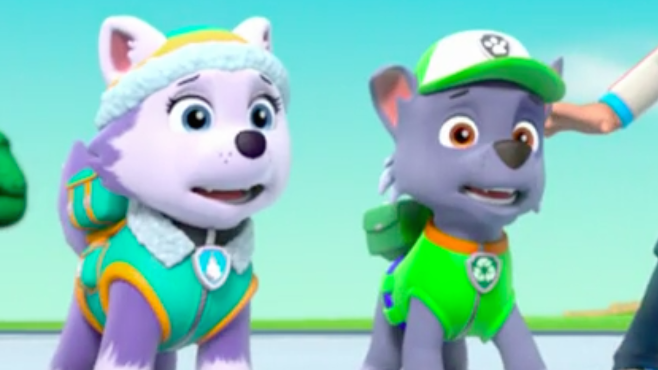 Should Rocky Love Skye Or Everest Paw Patrol Relationships Wiki Fandom Powered By Wikia