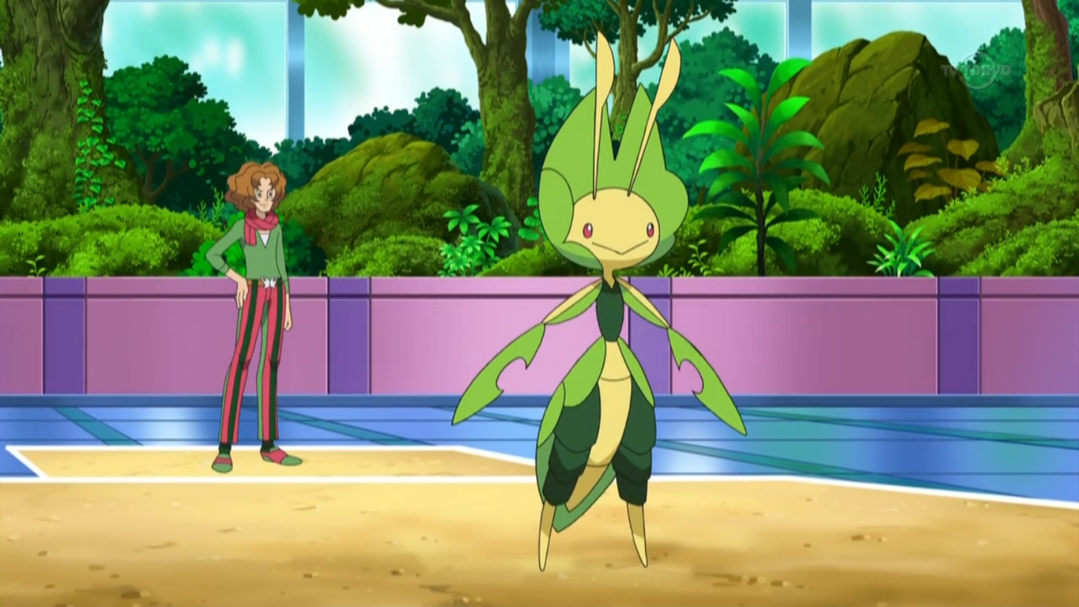 Burghs Leavanny Anime Pokémon Wiki Fandom Powered By Wikia