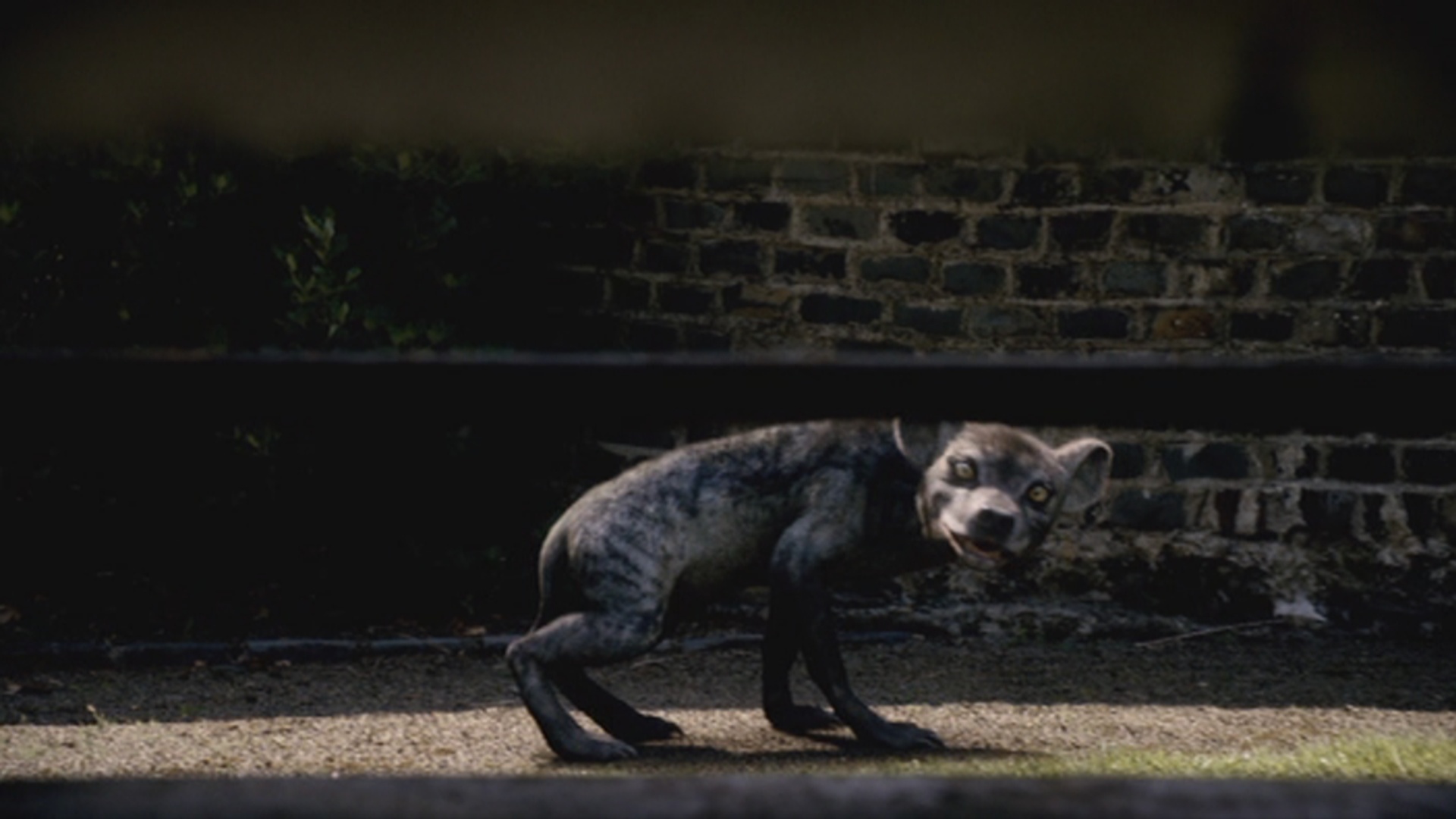 Hyaenodon Anomaly Research Centre Fandom Powered By Wikia