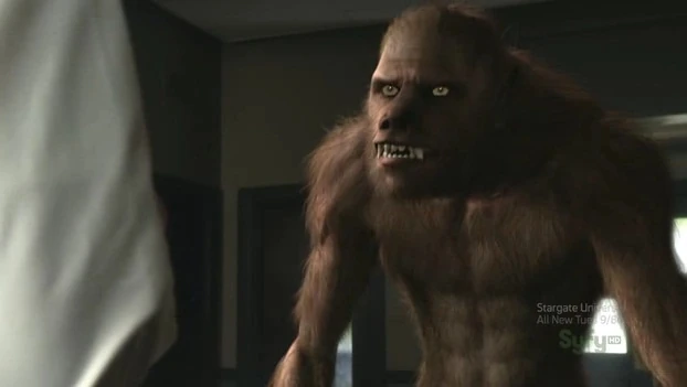 Werewolf | The Sanctuary Network | Fandom powered by Wikia