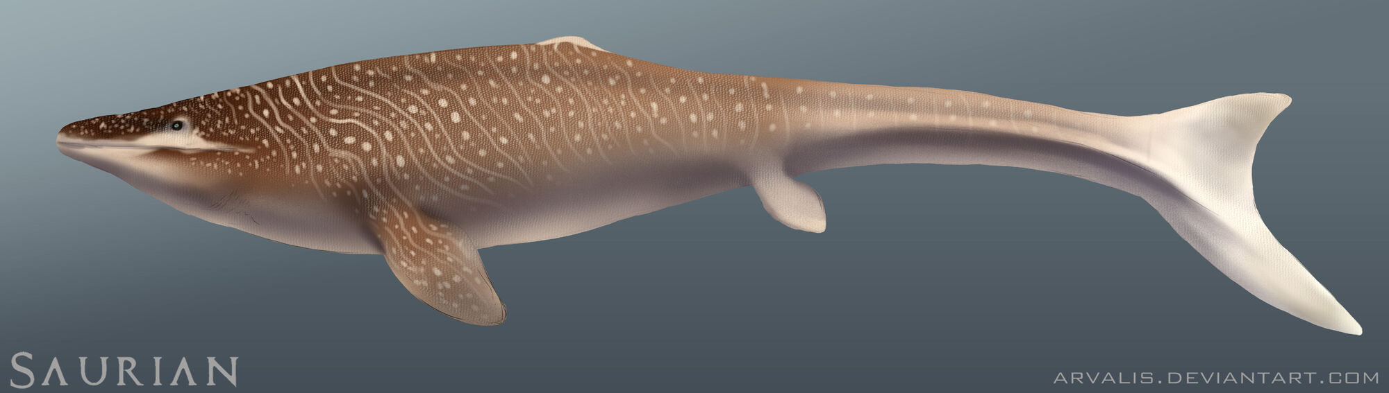 Mosasaurus | Saurian Wikia | FANDOM powered by Wikia Mosasaurus | Saurian Wikia | FANDOM powered by Wikia