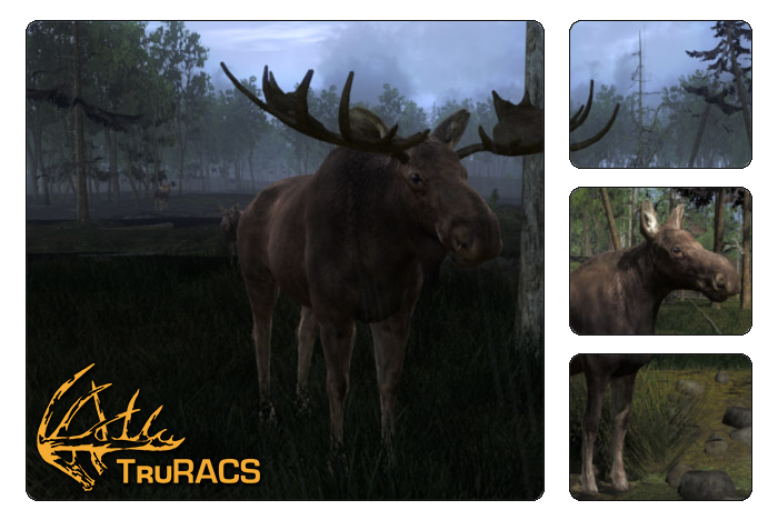 Moose The Hunter Wikia Fandom Powered By Wikia