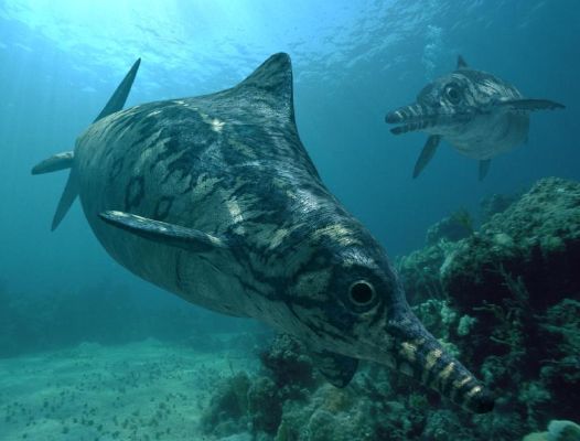 Ichthyosaurs Walking With Wikis Fandom Powered By Wikia