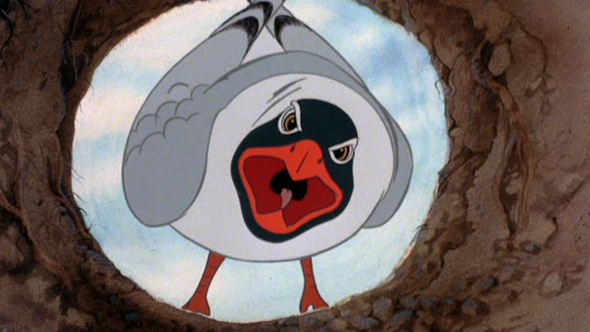 Kehaar | Watership Down Wiki | FANDOM powered by Wikia