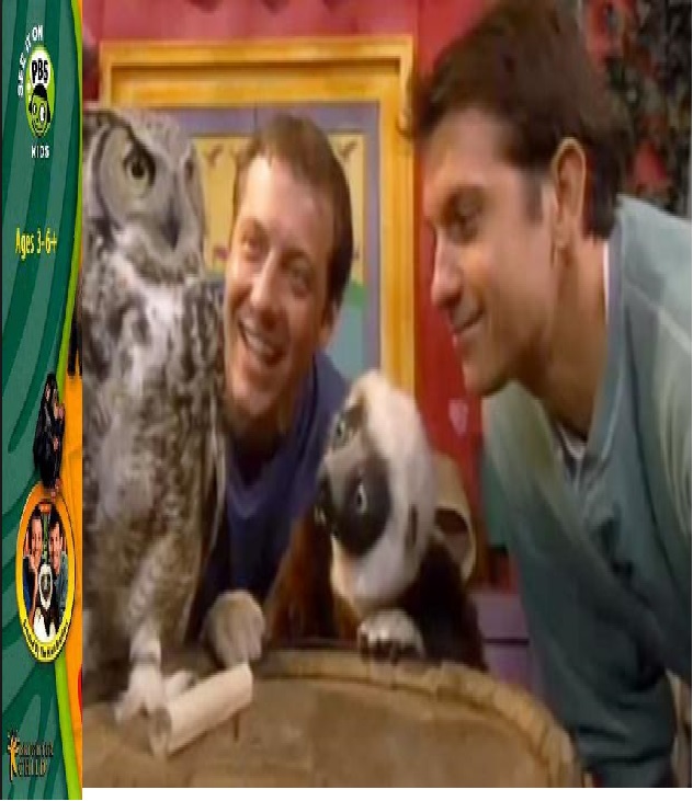 Owl Abc Zoboomafoo Fanon Wikia Fandom Powered By Wikia