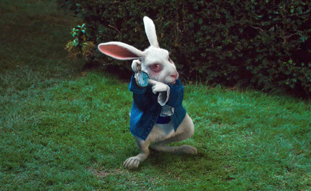 Follow the white rabbit. | Check Hook Boxing