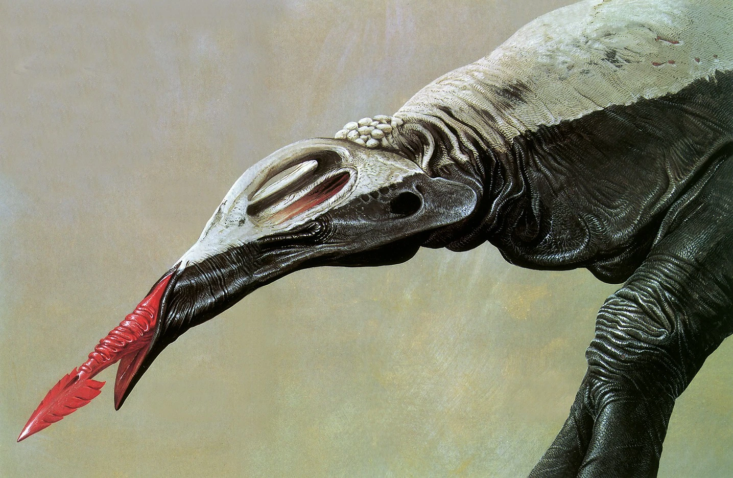 Bolt-tongue | Alien Species | FANDOM powered by Wikia