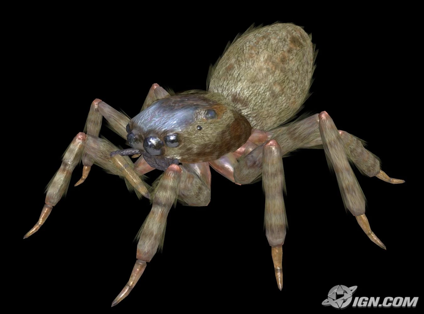Assault Spider | Alien Species | FANDOM powered by Wikia