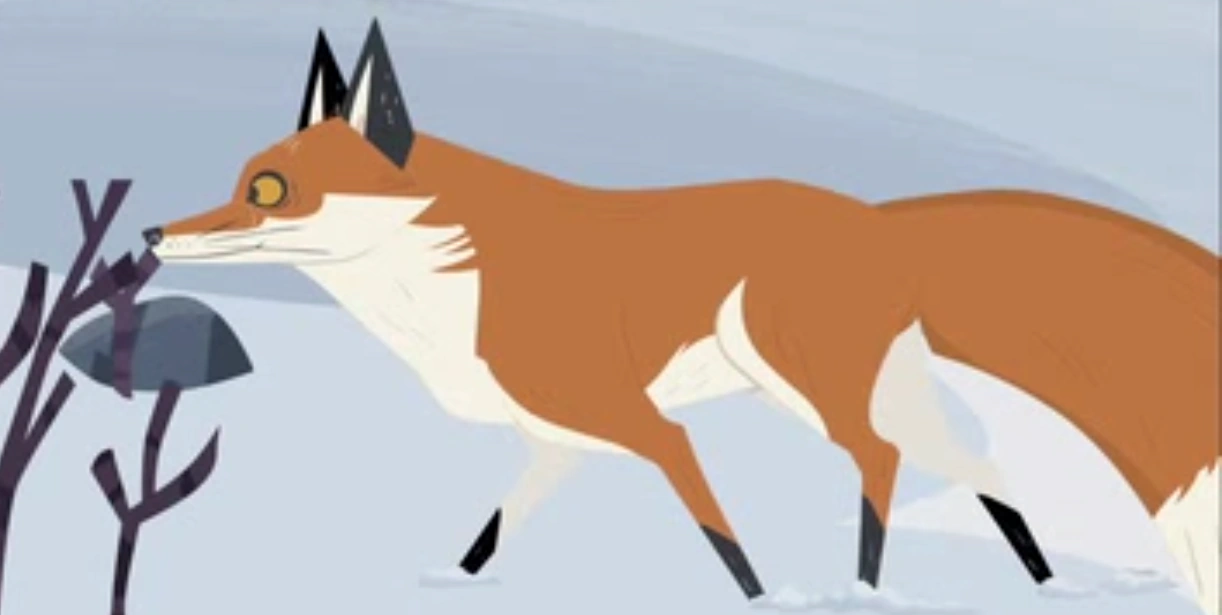 Image - Red-fox9.png | Animals Wiki | FANDOM powered by Wikia