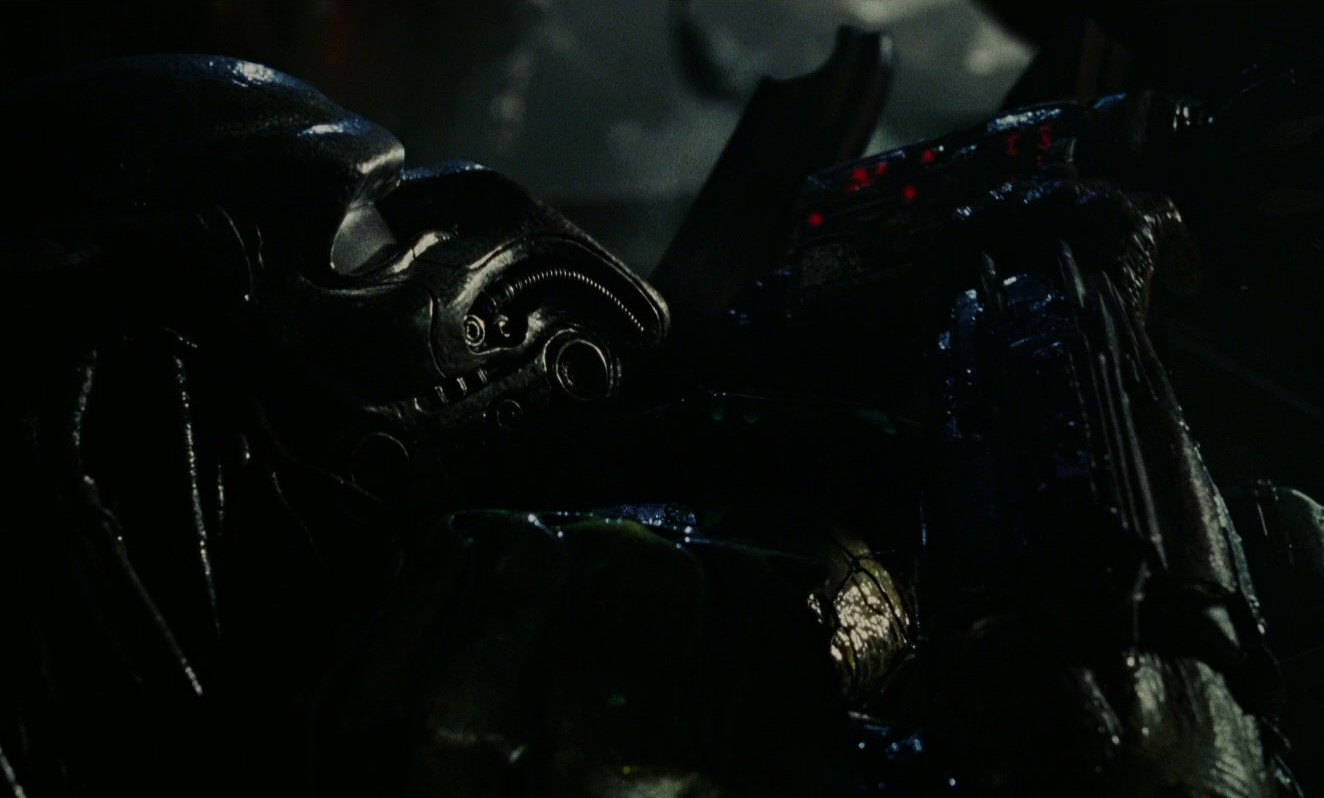 Bull (Predator) | Xenopedia | Fandom powered by Wikia Bull (Predator) | Xenopedia | Fandom powered by Wikia