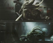 Engineer | Xenopedia | FANDOM powered by Wikia