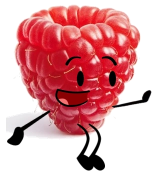 Image - Raspberry.png | Object Shows Community | FANDOM powered by Wikia