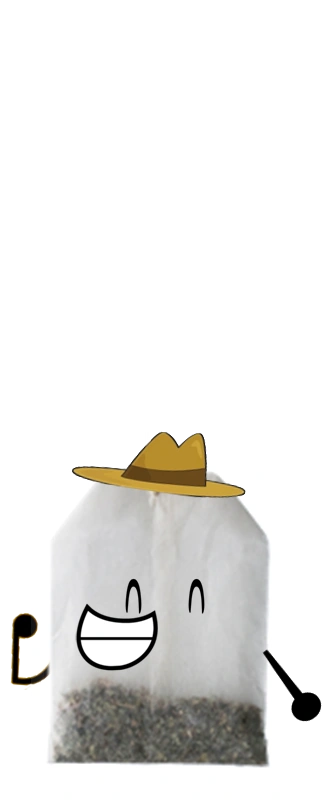 Image - Tea Bag wiki pose.png | Object Shows Community | FANDOM powered ...