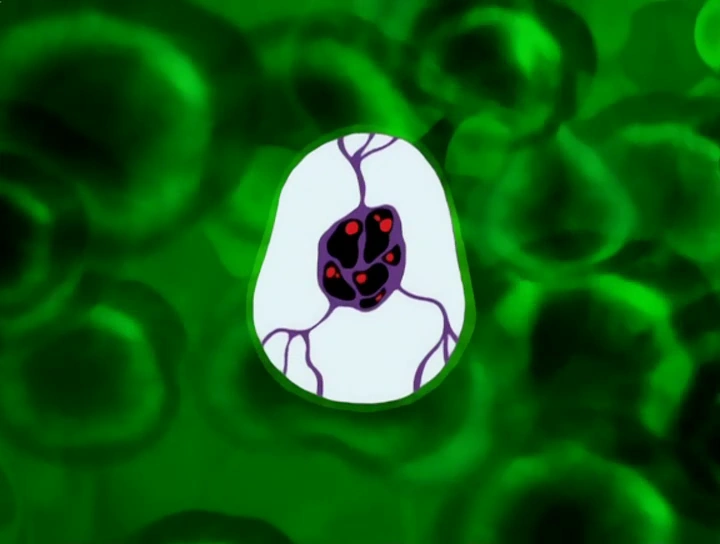 Highbreed | Ben 10 Wiki | FANDOM powered by Wikia