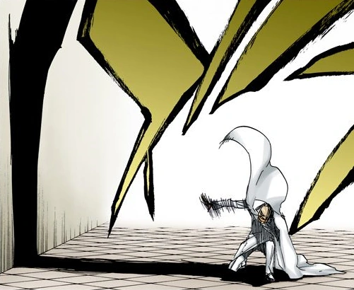 Shadow | Bleach Wiki | FANDOM powered by Wikia