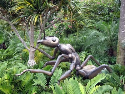 Great Ants | VoVatia