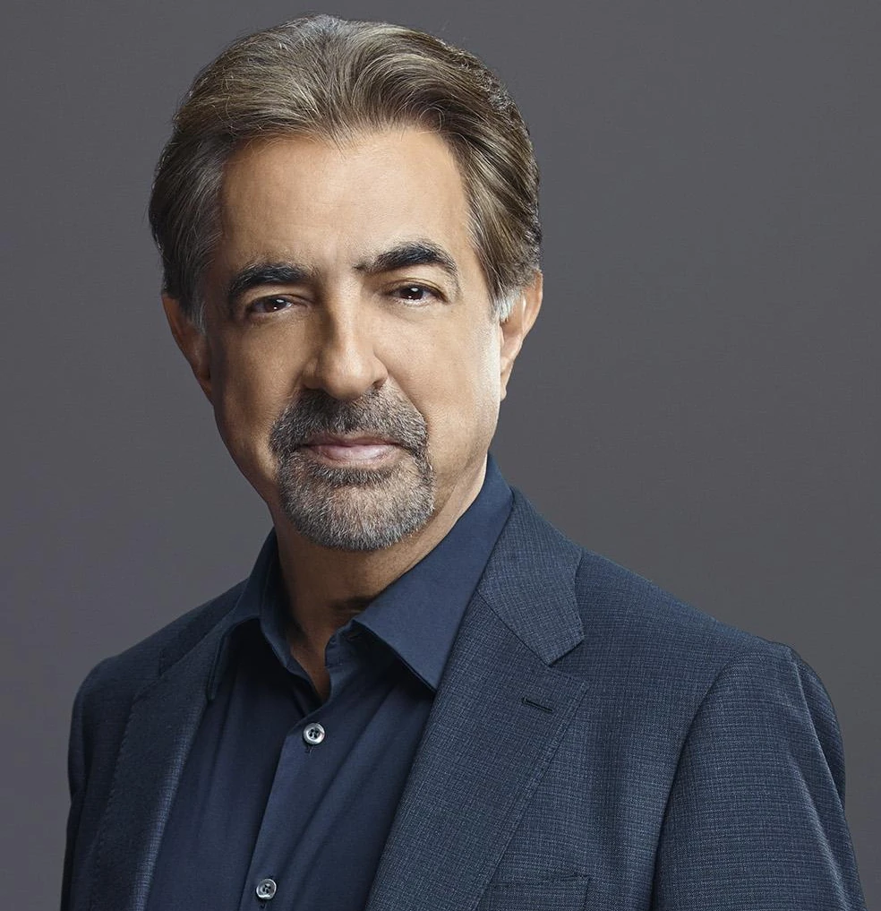 Image - David Rossi detail.jpg | Criminal Minds Wiki | FANDOM powered ...