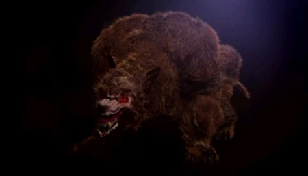 Beast of Bears | Cryptid Wiki | Fandom powered by Wikia