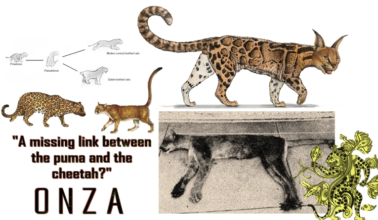 Onza | Cryptid Wiki | FANDOM powered by Wikia