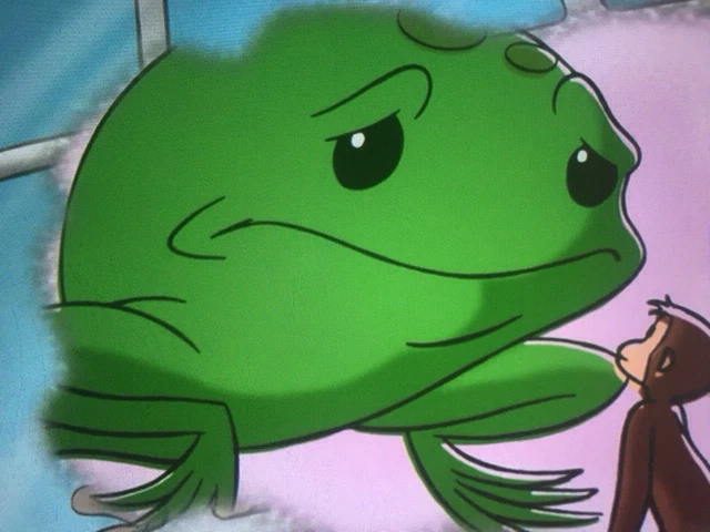 Curious George Discovers the Poles/Curious George Finds His Way ...