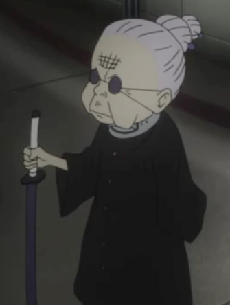 Old man Fu spotted on Gurren Lagann : r/FullmetalAlchemist