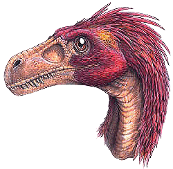 Dromaeosaurus | Dinosaur Wiki | Fandom powered by Wikia