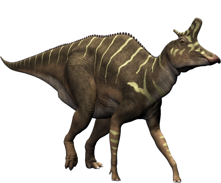 Lambeosaurus | Dinosaur Wiki | Fandom powered by Wikia