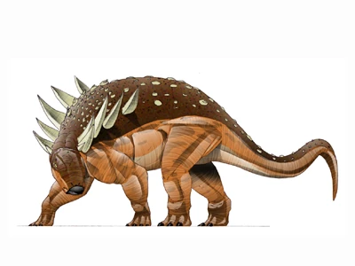 Acanthopholis - Dinosaur Wiki - Wikia