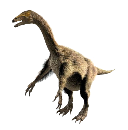 Nothronychus | Dinosaur Wiki | Fandom powered by Wikia