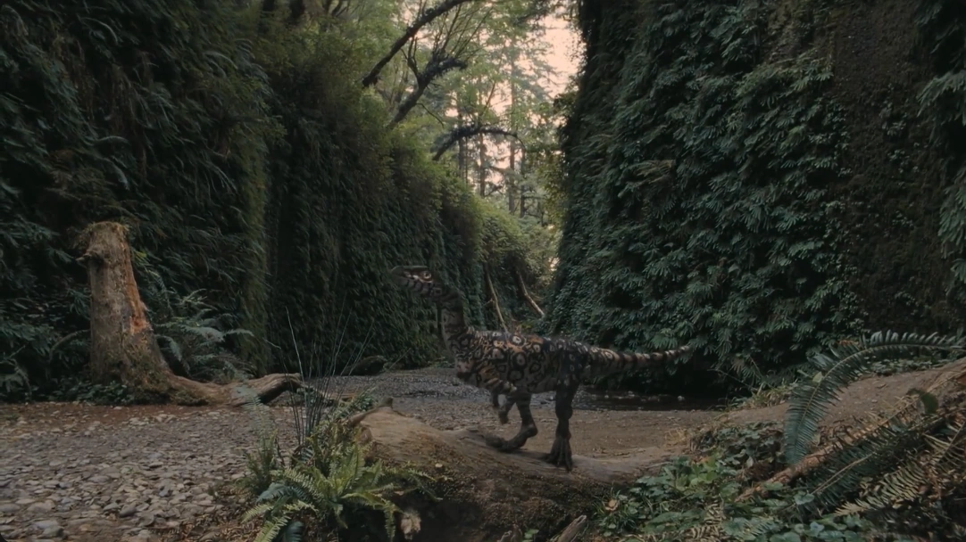 Effigia | Dinosaur Alive Wiki | FANDOM powered by Wikia