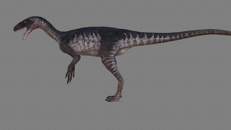 Category:Tyrannosaurs | Dinosaur Revolution Wiki | FANDOM powered by Wikia Category:Tyrannosaurs | Dinosaur Revolution Wiki | FANDOM powered by Wikia