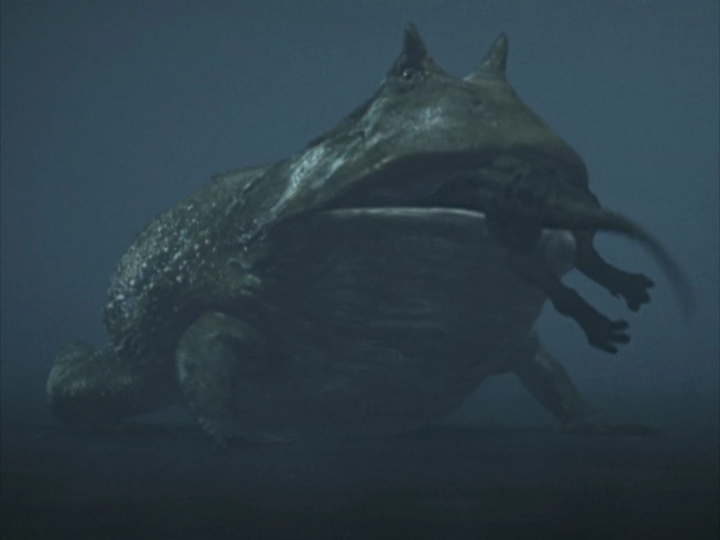 Beelzebufo | Dinosaur Revolution Wiki | FANDOM powered by Wikia