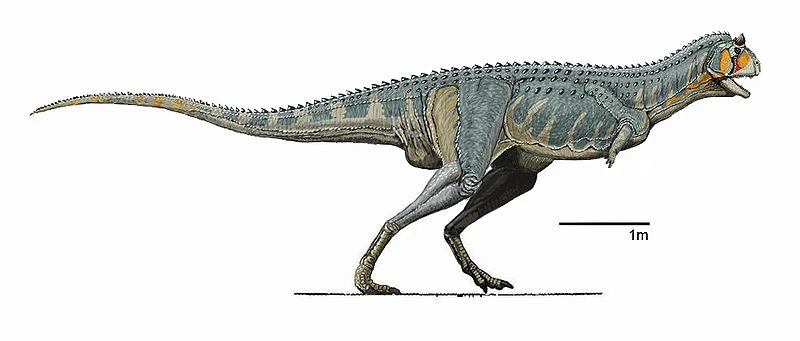 Carnotaurus | Dinopedia | FANDOM powered by Wikia