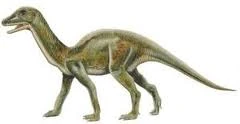 Mussaurus | Dinopedia | Fandom powered by Wikia