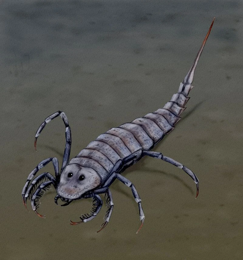 Stylonurus | Dinopedia | FANDOM powered by Wikia