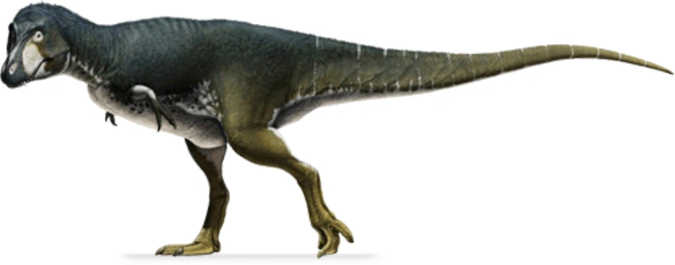 Lythronax | Dinopedia | Fandom powered by Wikia