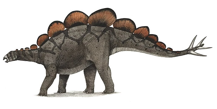 Hesperosaurus | Dinopedia | Fandom powered by Wikia